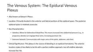 Anatomy and Sonographic Anatomy of the Vertebral Column.pptx