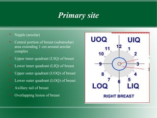 Anatomy and staging breast cancer | PPT