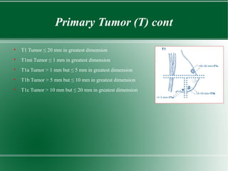 Anatomy and staging breast cancer | PPT