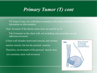 Anatomy and staging breast cancer | PPT