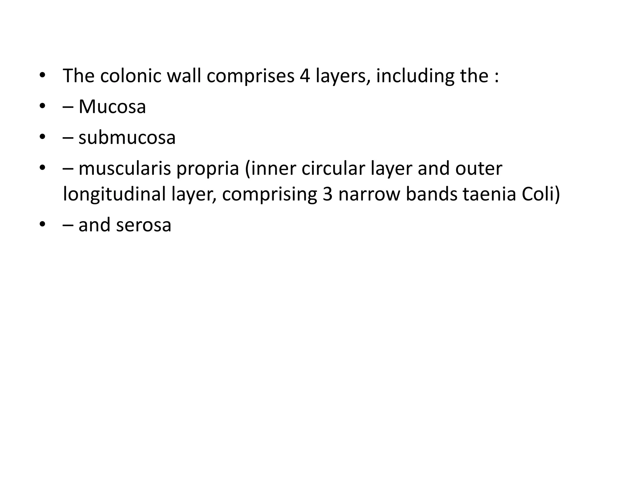 Anatomy and staging of ca colon | PPT