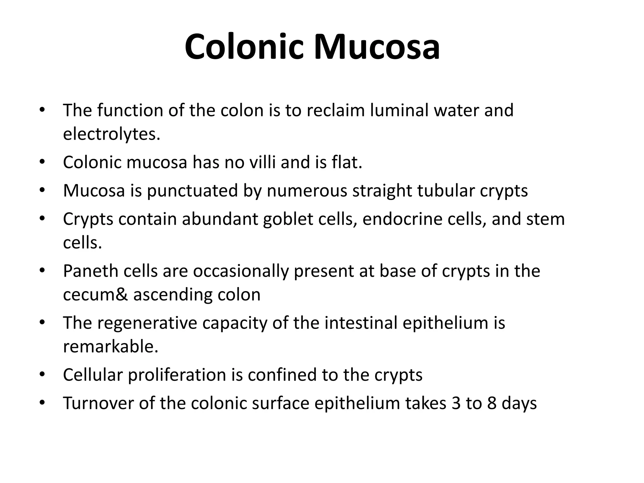 Anatomy and staging of ca colon | PPTX