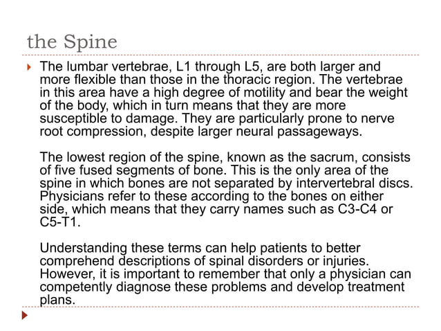 Anatomy and Terminology of the Spine | PPTX | Death, Injury, or ...