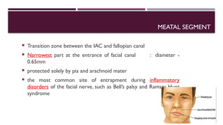 anatomy and tests of facial nerve -asps-1.pptx