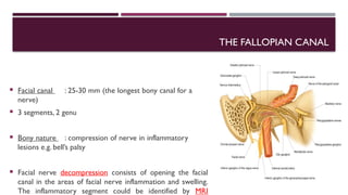 anatomy and tests of facial nerve -asps-1.pptx