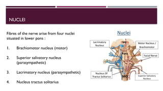 anatomy and tests of facial nerve -asps-1.pptx