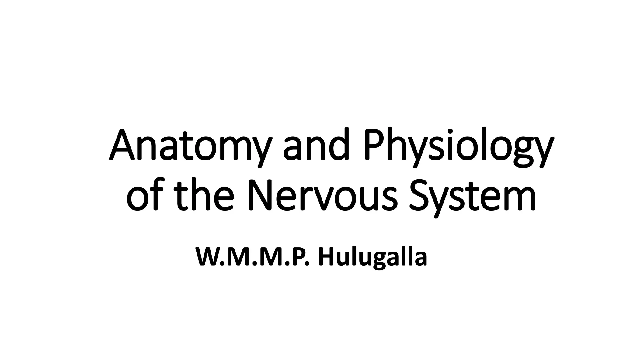 Anatomy and the Physiology of the Nervous System (2).pptx