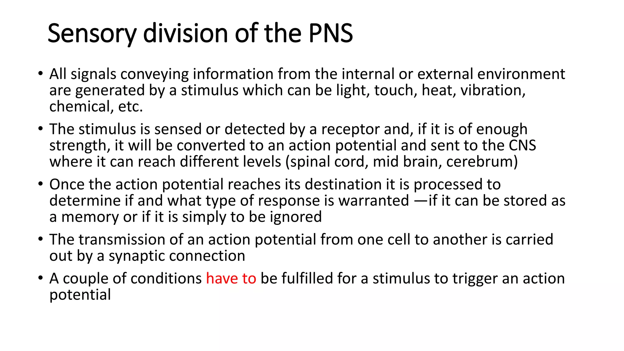 Anatomy and the Physiology of the Nervous System (2).pptx