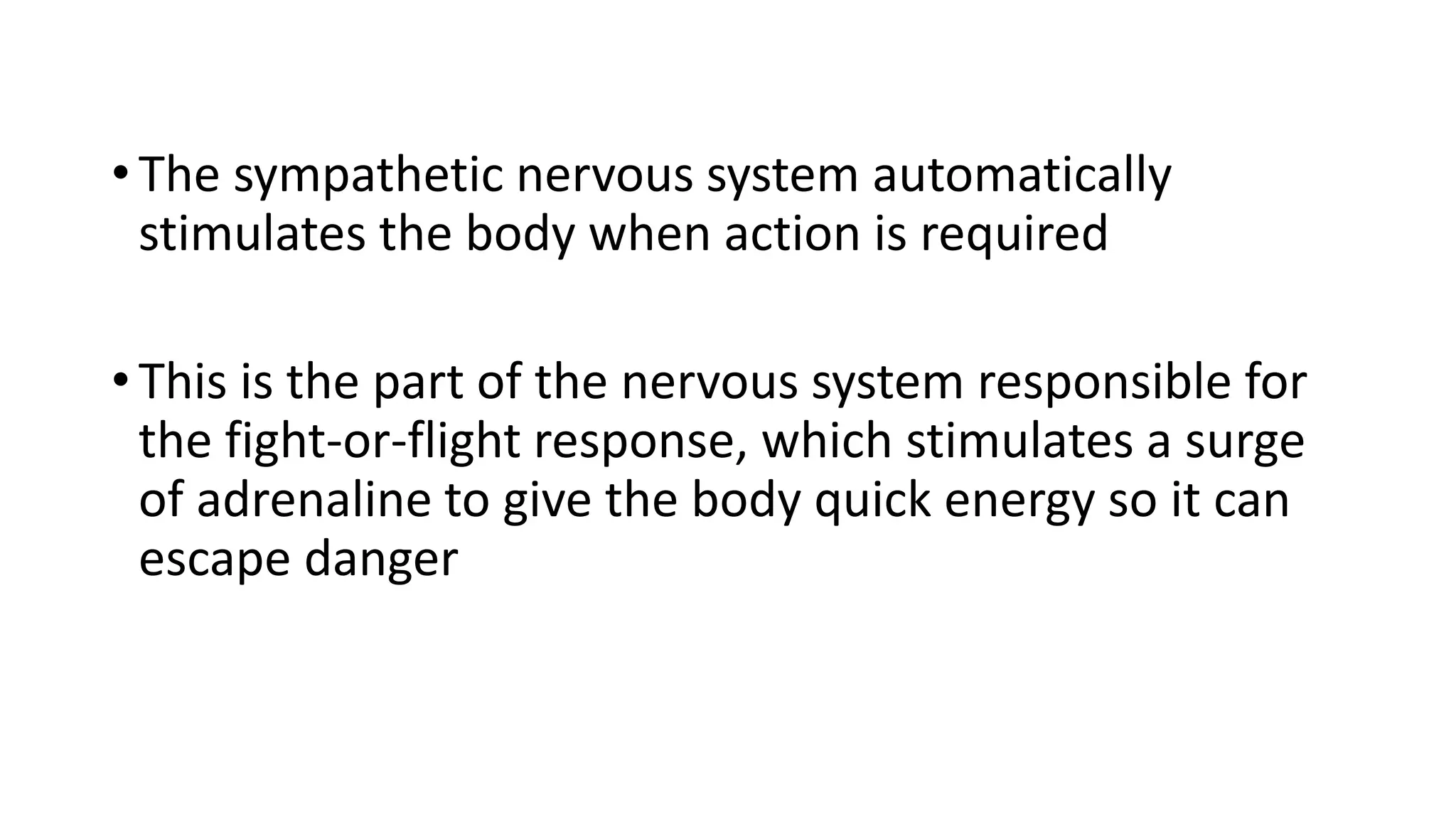 Anatomy and the Physiology of the Nervous System (2).pptx