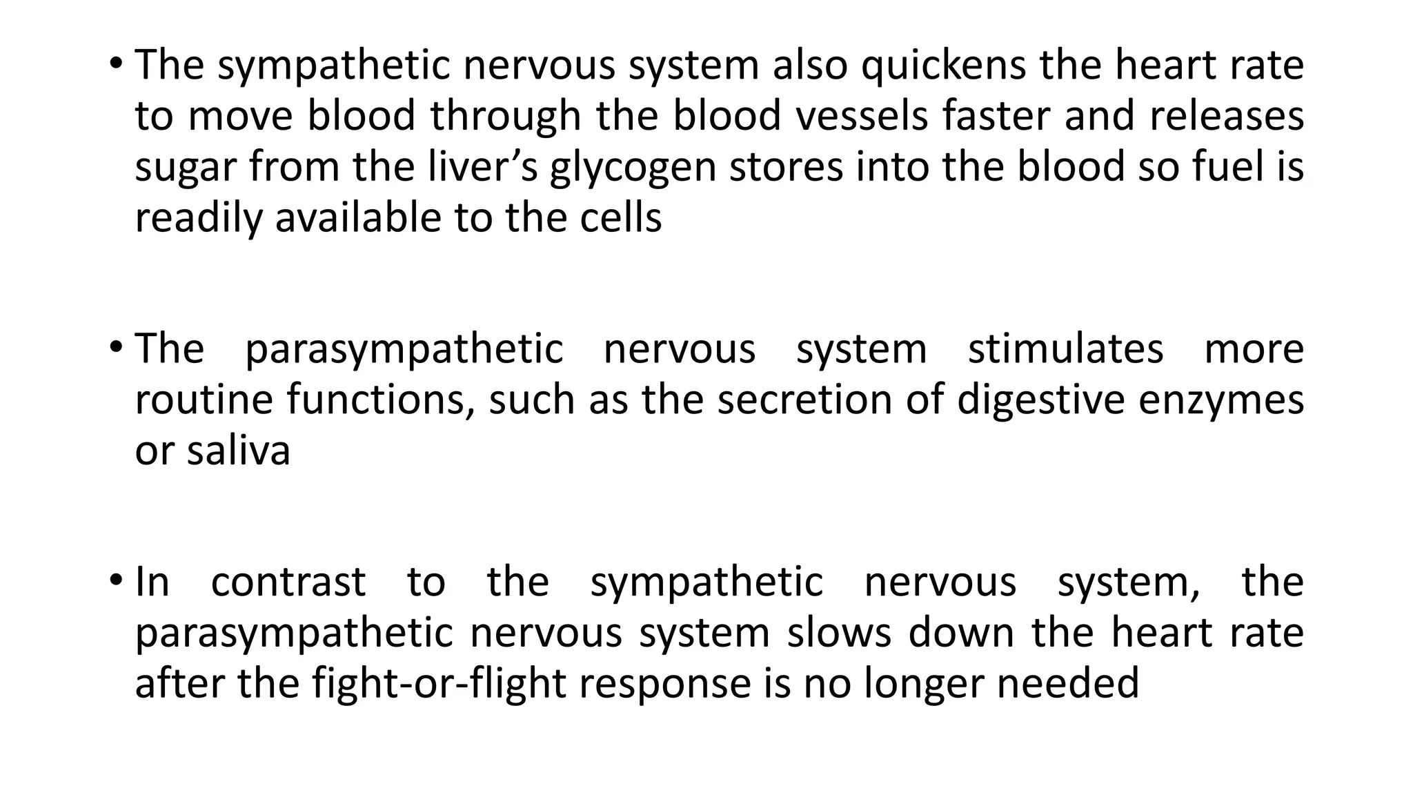 Anatomy and the Physiology of the Nervous System (2).pptx