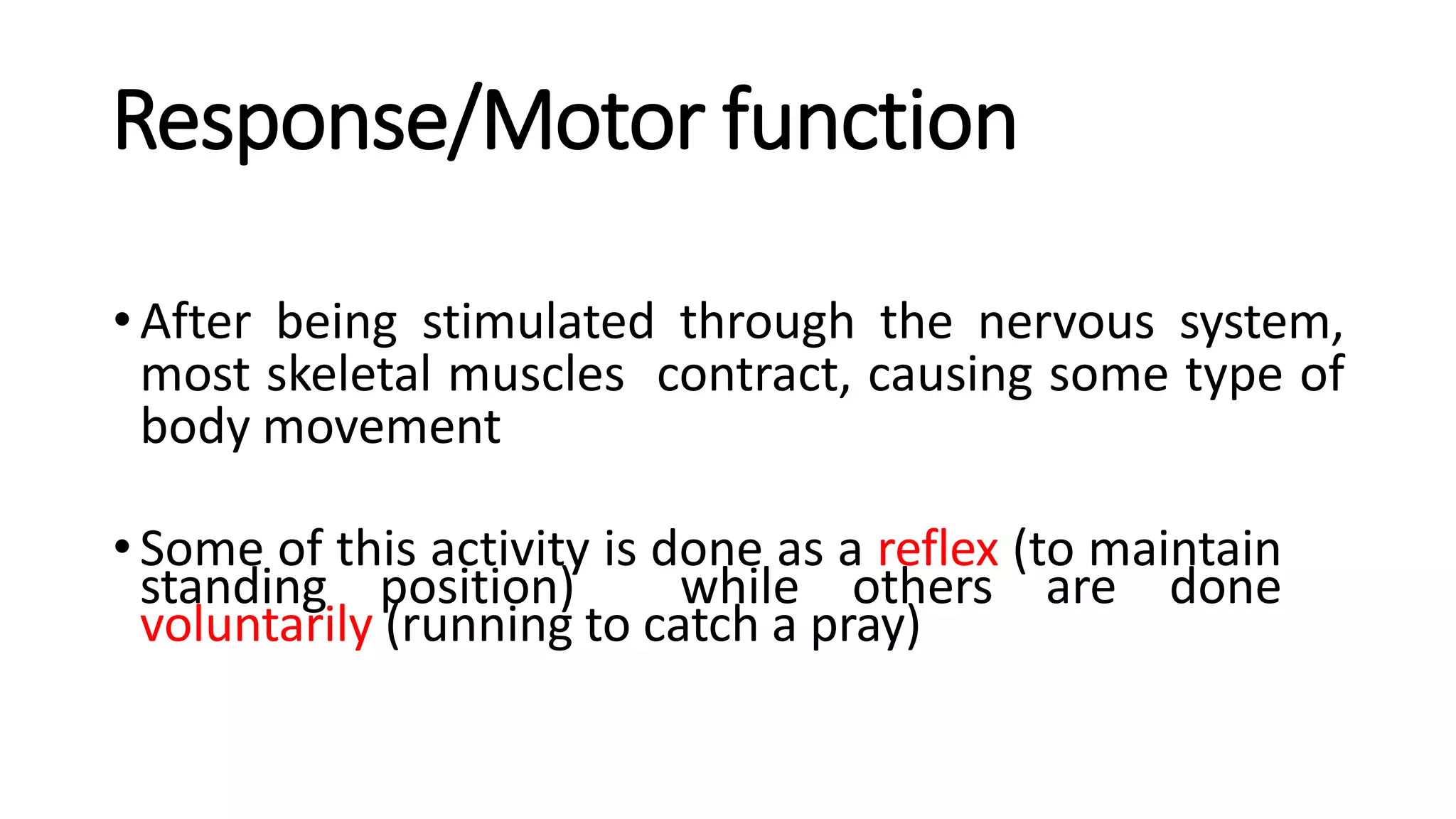 Anatomy and the Physiology of the Nervous System (2).pptx
