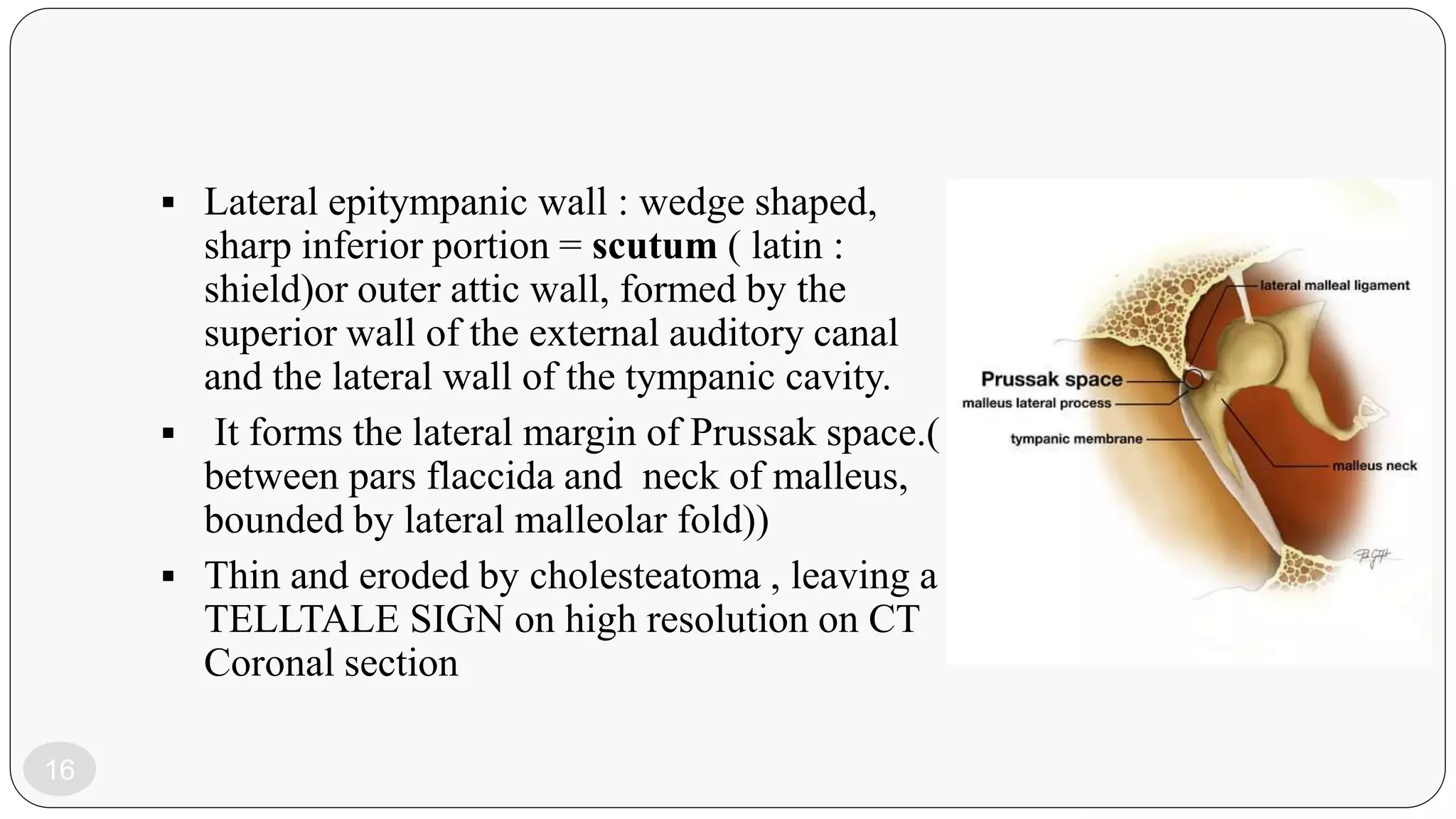 Anatomy and ultrastructure of middle ear | PPTX