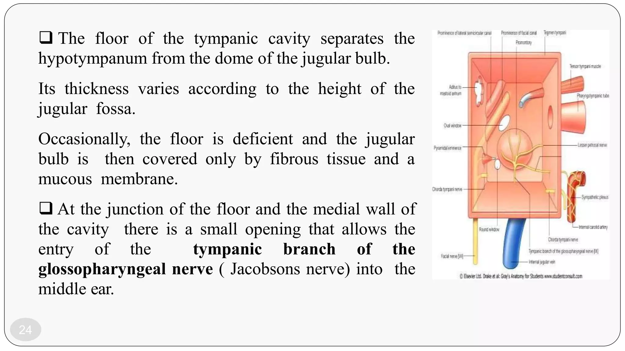 Anatomy and ultrastructure of middle ear | PPTX