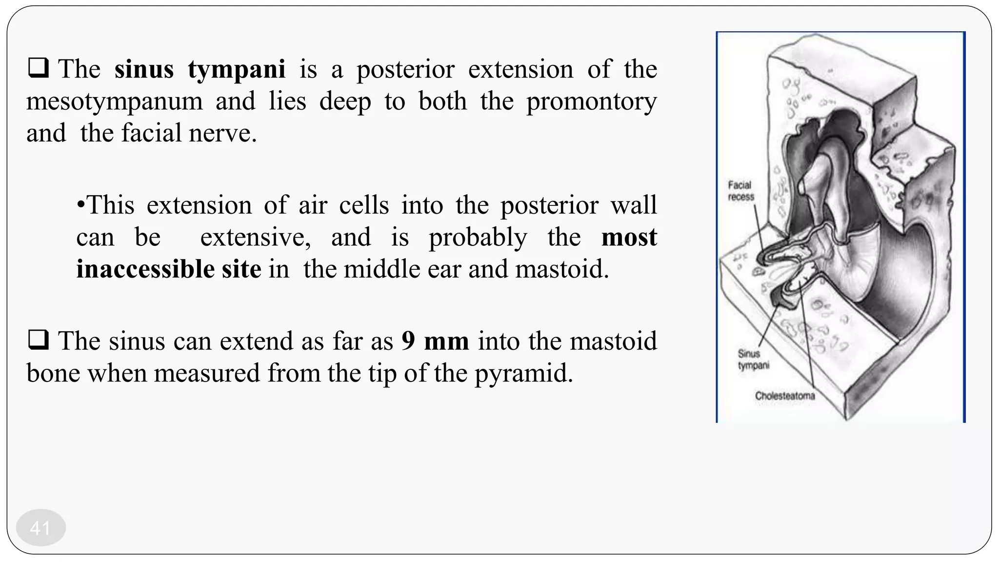 Anatomy and ultrastructure of middle ear | PPTX