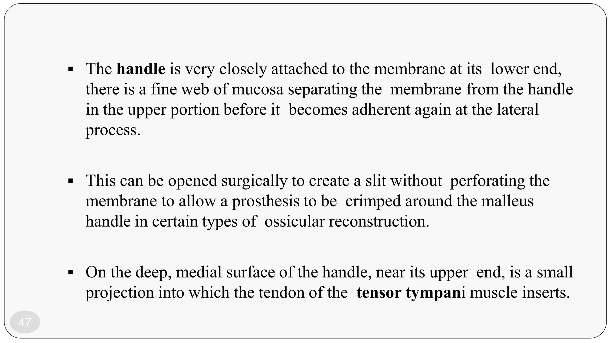 Anatomy and ultrastructure of middle ear | PPTX