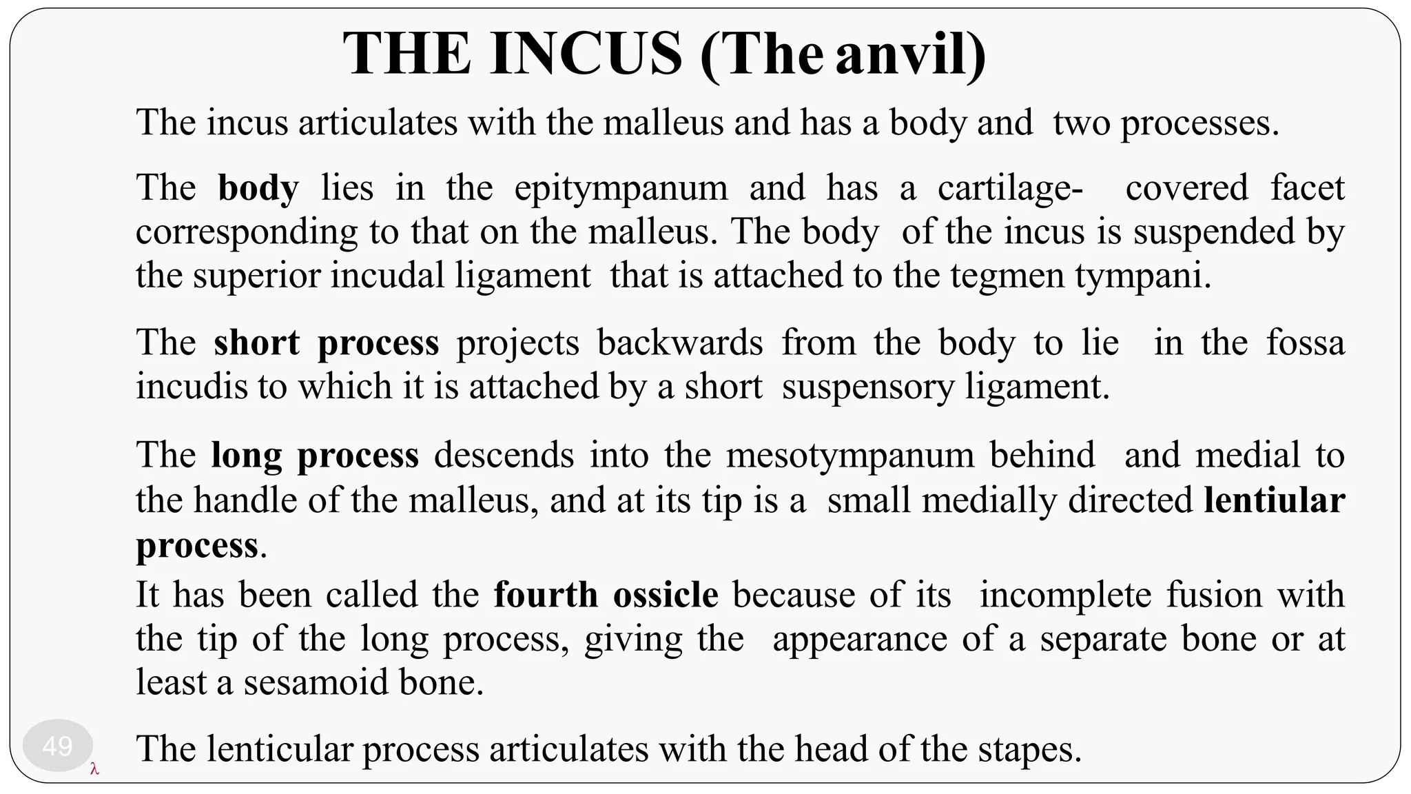 Anatomy and ultrastructure of middle ear | PPTX