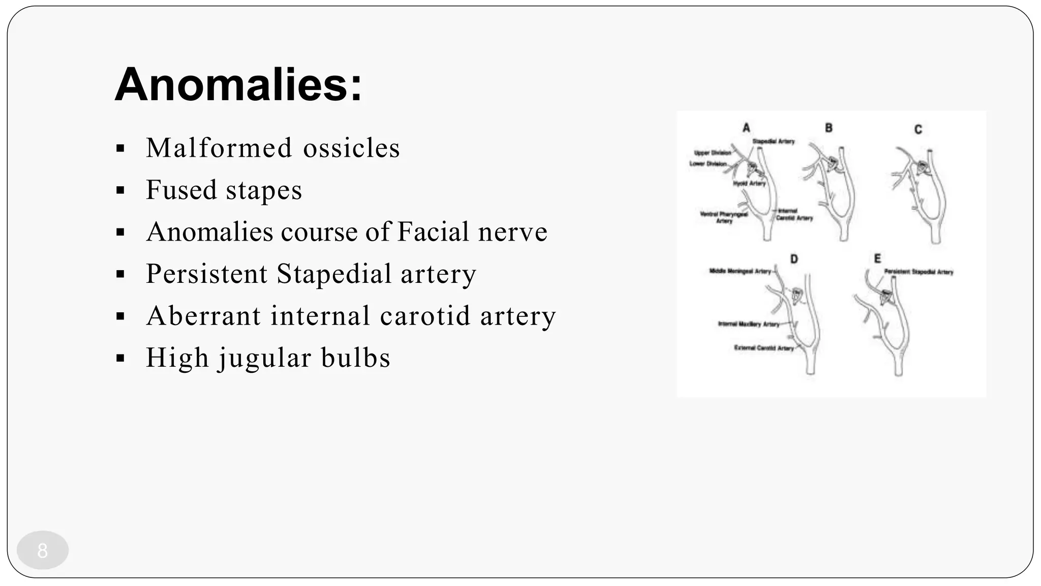 Anatomy and ultrastructure of middle ear | PPTX