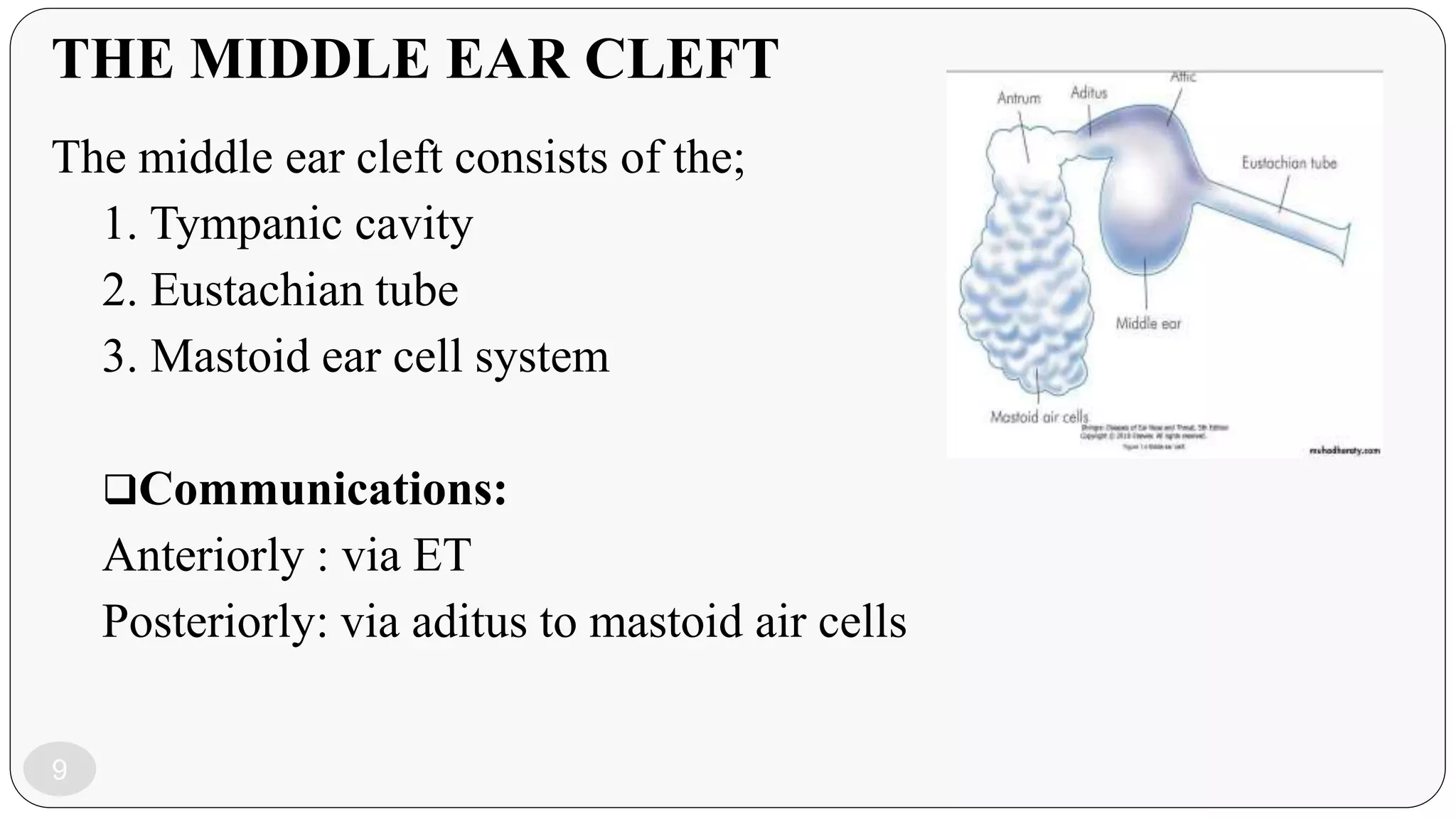 Anatomy and ultrastructure of middle ear | PPTX