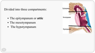 Anatomy and ultrastructure of middle ear | PPTX