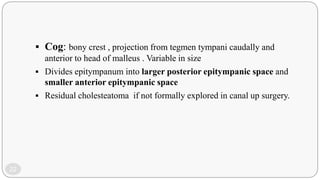 Anatomy and ultrastructure of middle ear | PPTX