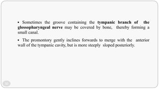 Anatomy and ultrastructure of middle ear | PPTX