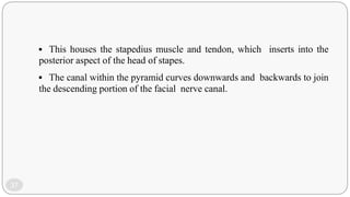 Anatomy and ultrastructure of middle ear | PPTX