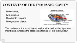 Anatomy and ultrastructure of middle ear | PPTX