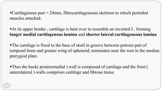 Anatomy and ultrastructure of middle ear | PPTX
