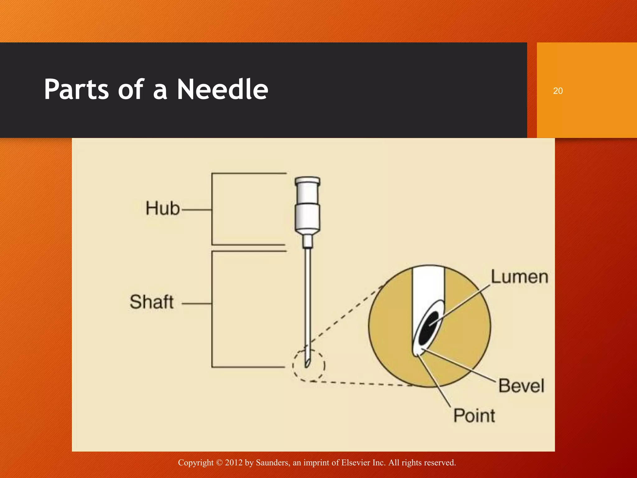 Anatomy and Venipuncture equipment (1).pptx