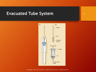 Anatomy and Venipuncture equipment (1).pptx