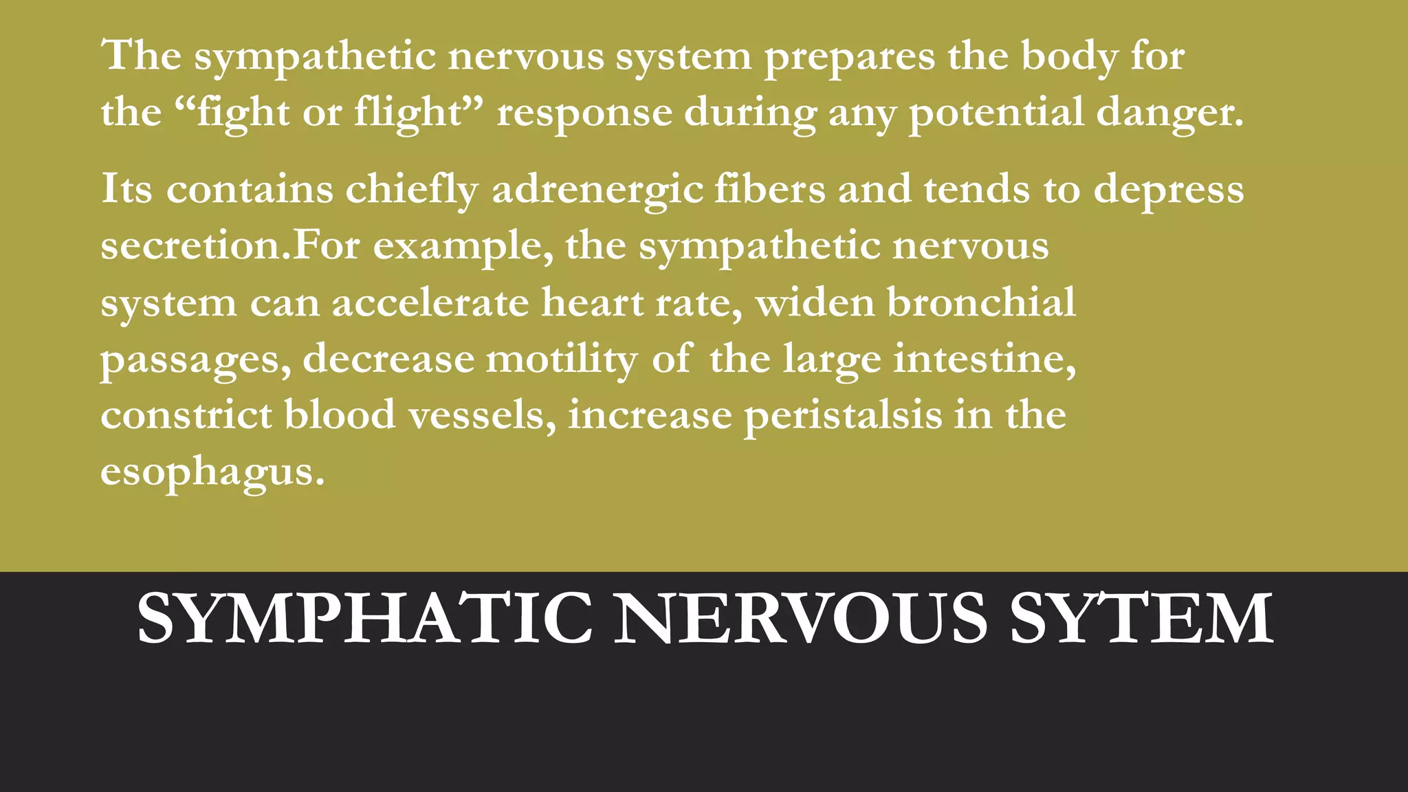 Peripheral Nervous System Ppt