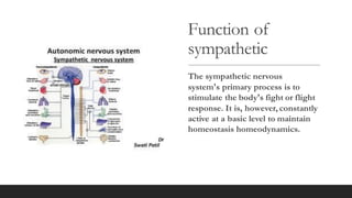 peripheral nervous system | PDF | Brain and Nervous System Disorders ...