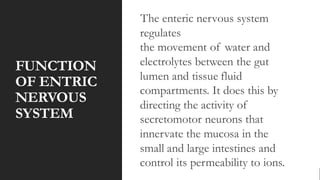 peripheral nervous system | PDF | Brain and Nervous System Disorders ...