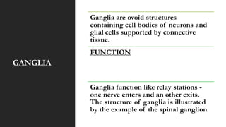 peripheral nervous system | PDF | Brain and Nervous System Disorders ...