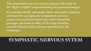 peripheral nervous system | PDF | Brain and Nervous System Disorders ...