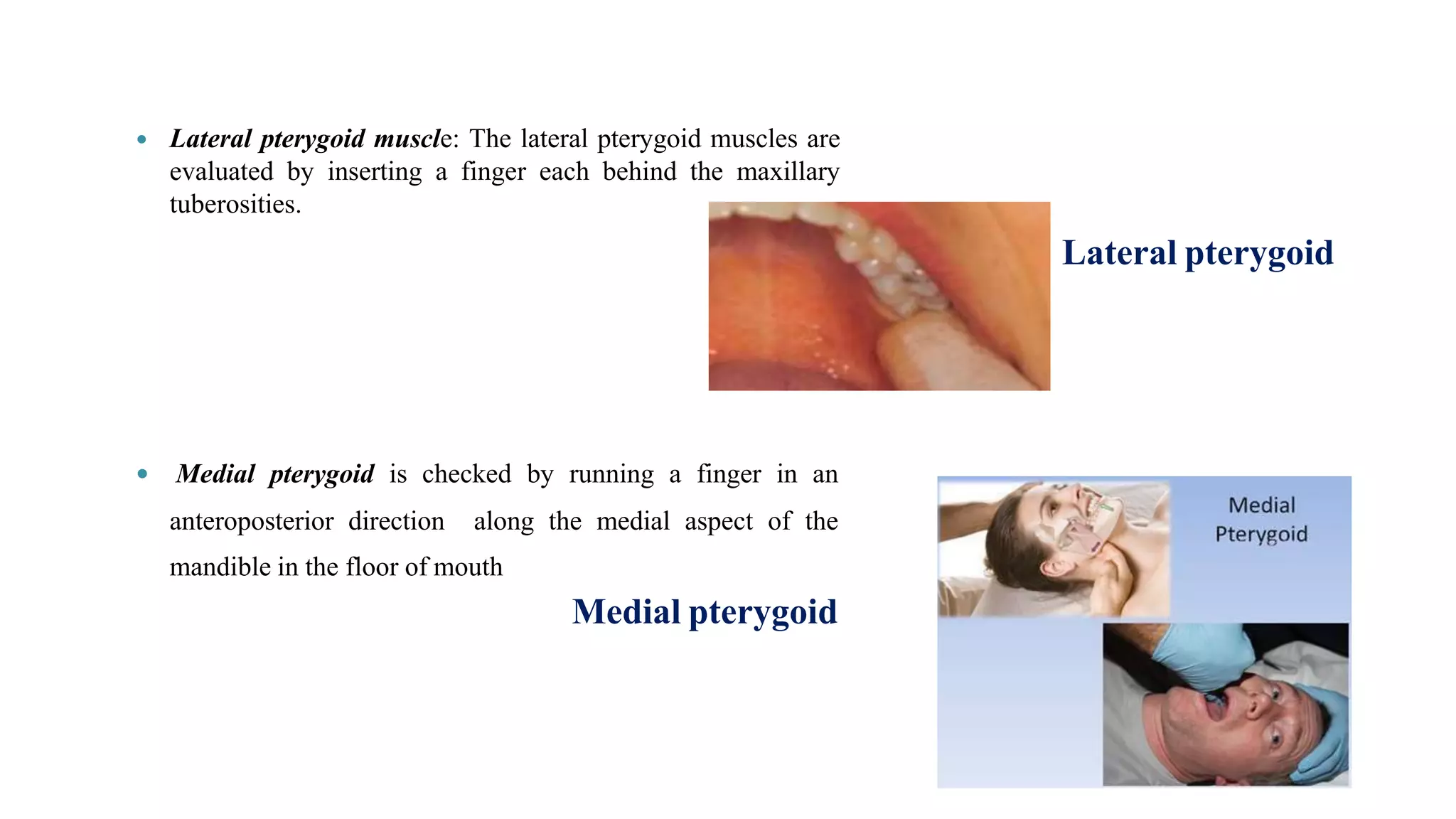 muscles of mastication | PPT
