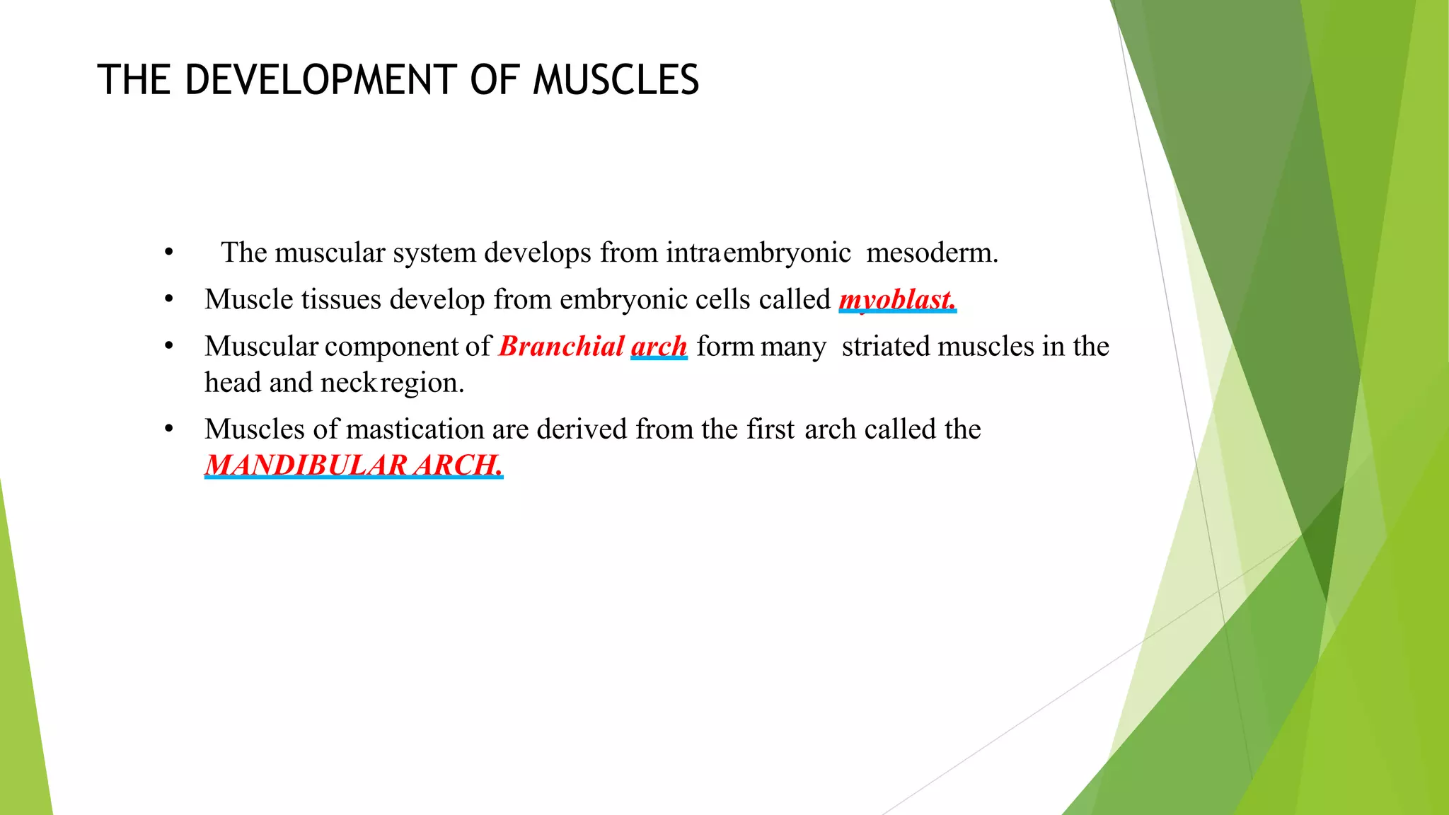 muscles of mastication | PPT