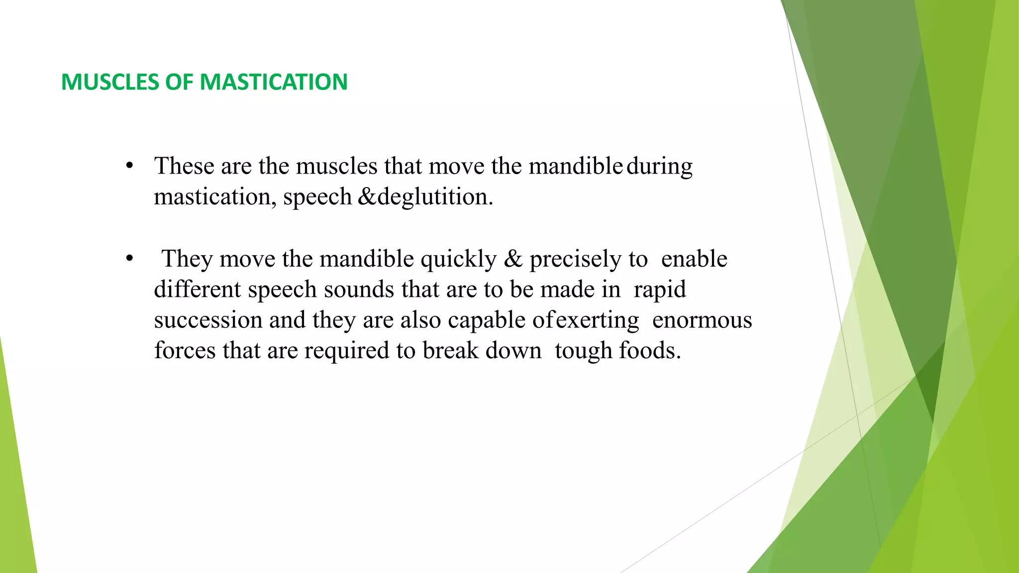 muscles of mastication | PPT
