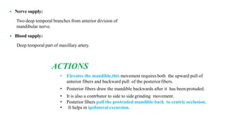 muscles of mastication | PPT