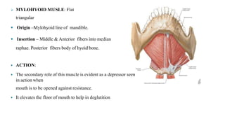 muscles of mastication | PPT