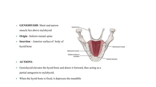 muscles of mastication | PPT