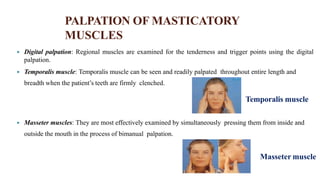muscles of mastication | PPT