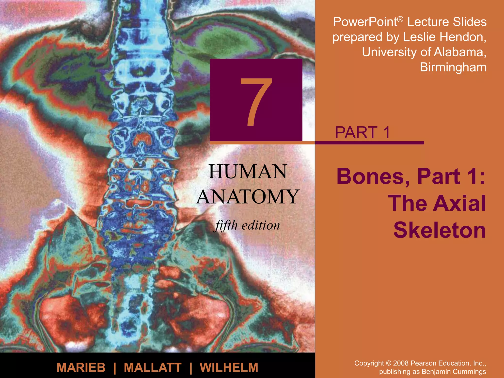 anatomy_axial_skeleton_pearson.ppt