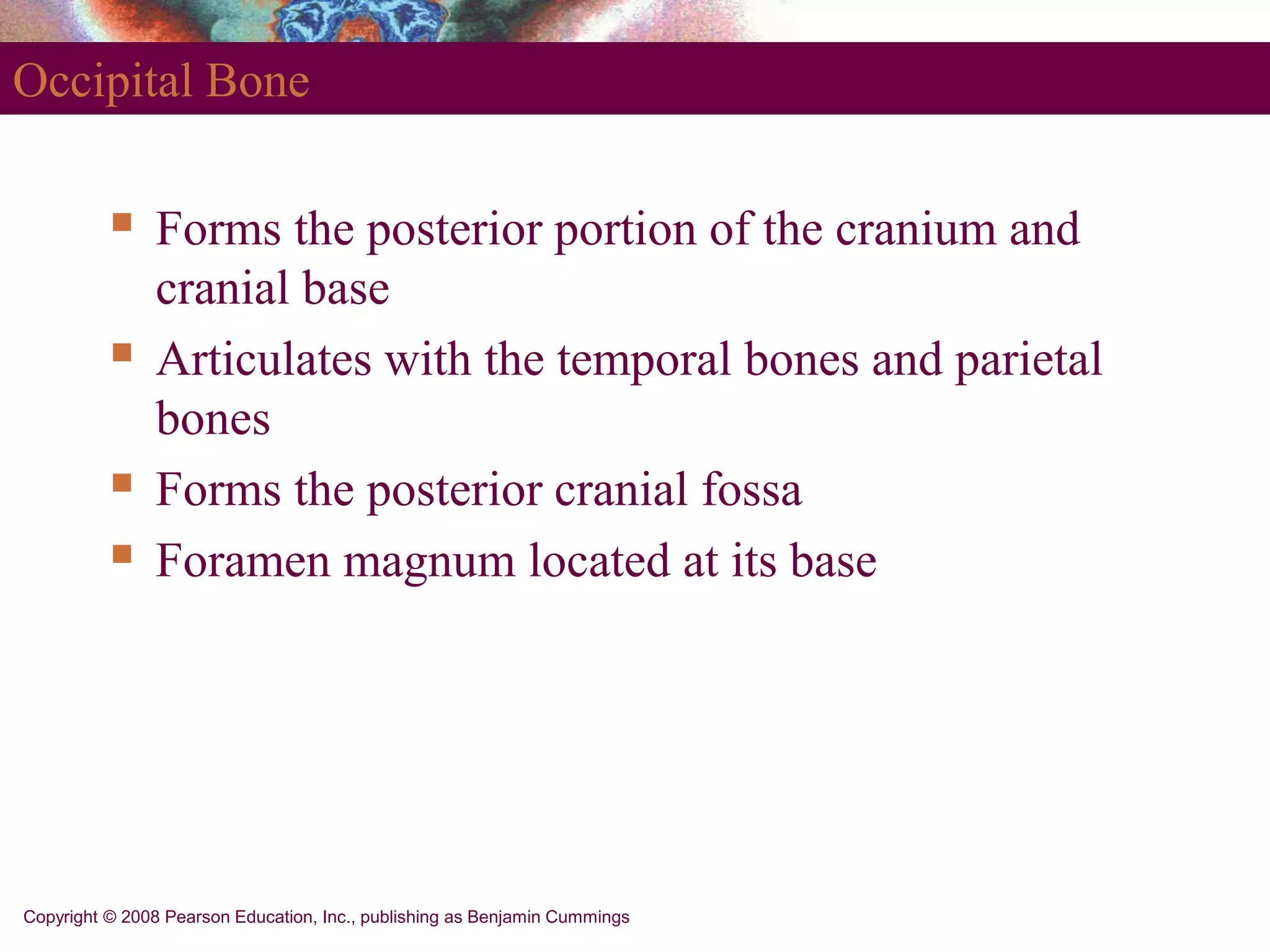 anatomy_axial_skeleton_pearson.ppt