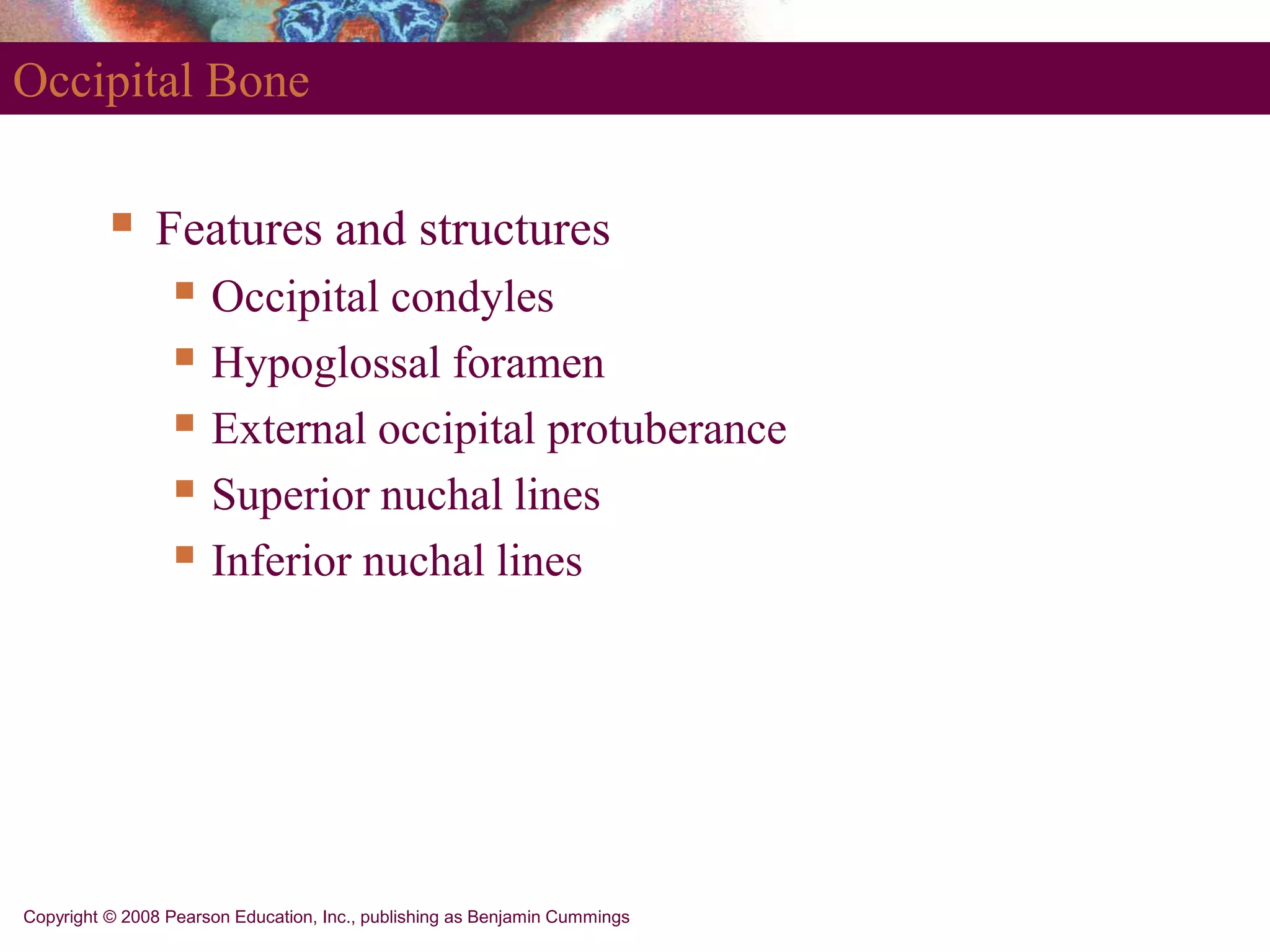 anatomy_axial_skeleton_pearson.ppt