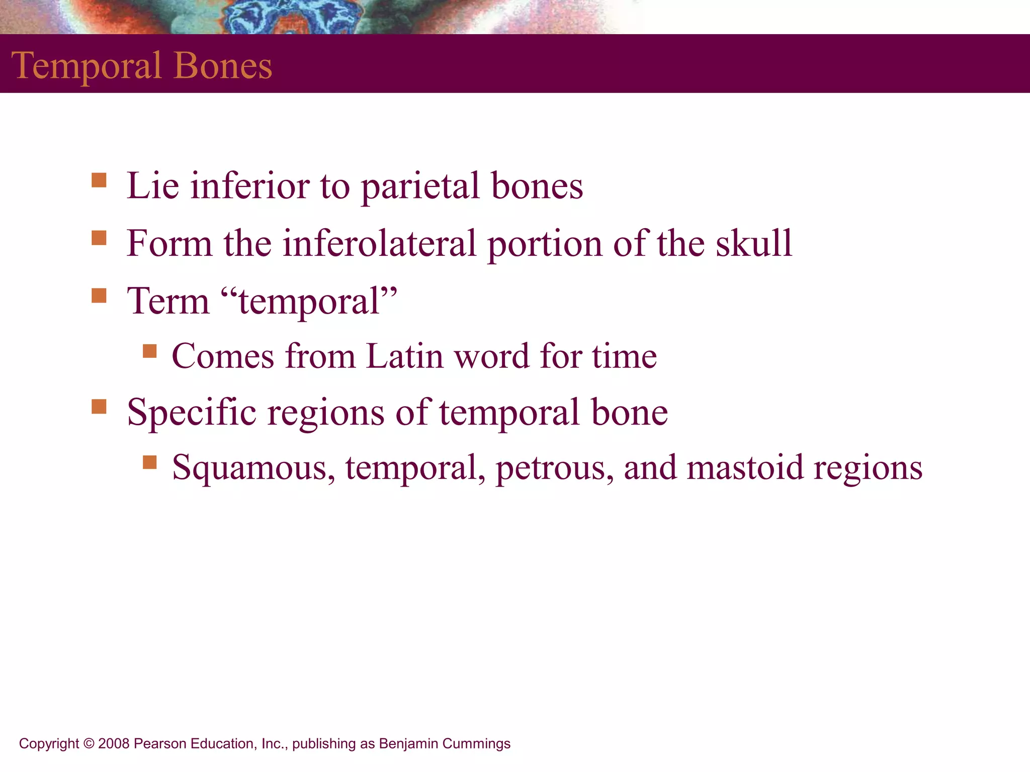 anatomy_axial_skeleton_pearson.ppt
