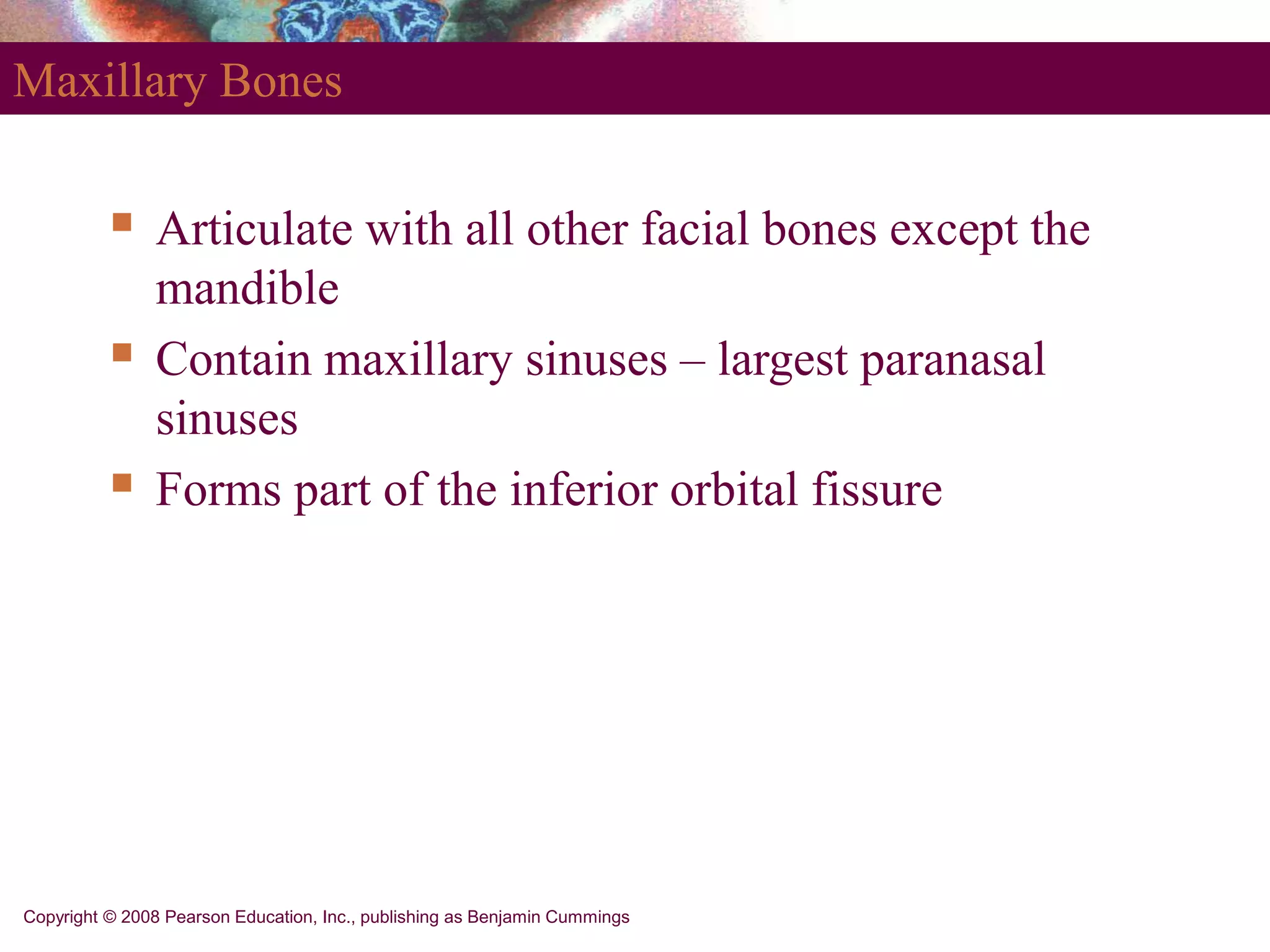 anatomy_axial_skeleton_pearson.ppt