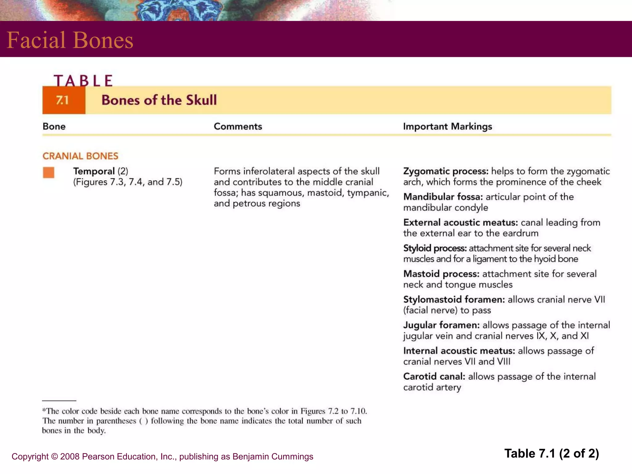 anatomy_axial_skeleton_pearson.ppt