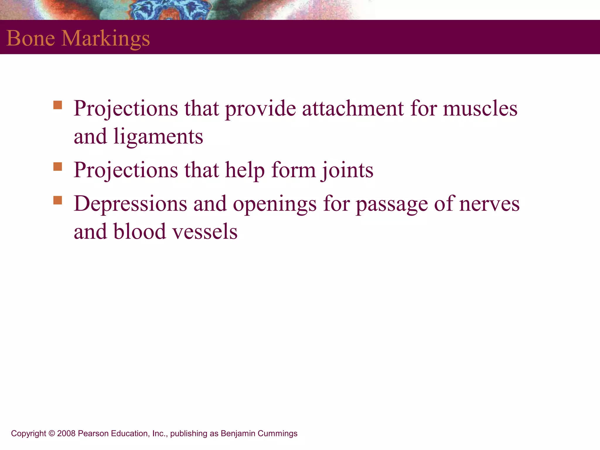 anatomy_axial_skeleton_pearson.ppt