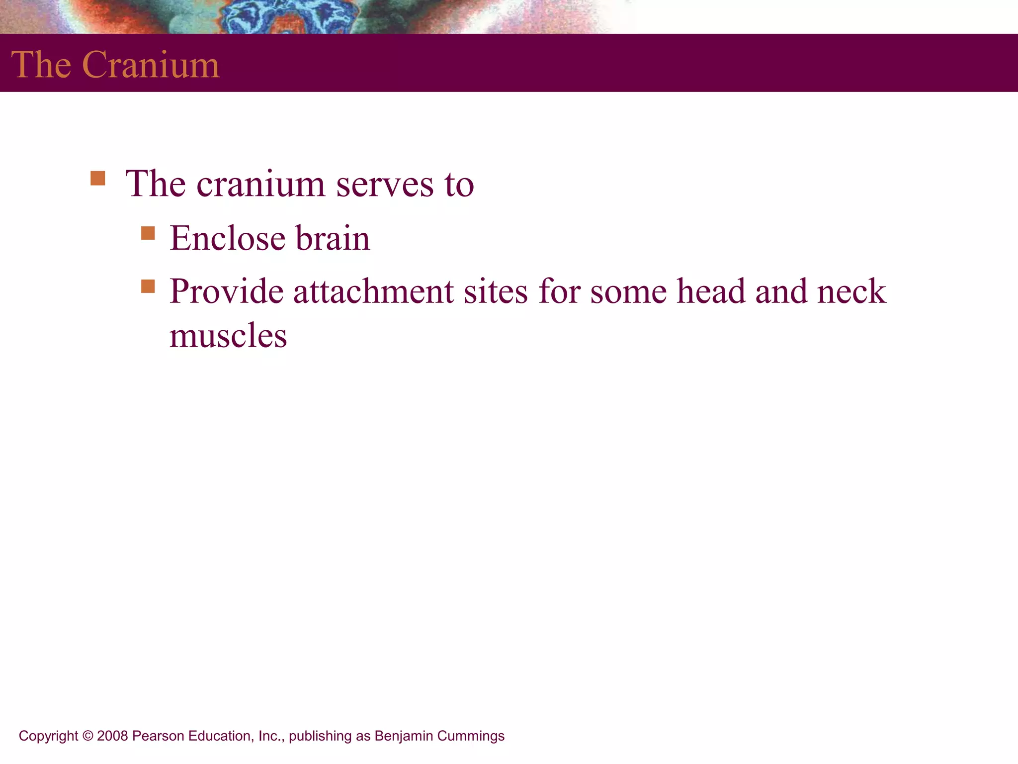 anatomy_axial_skeleton_pearson.ppt